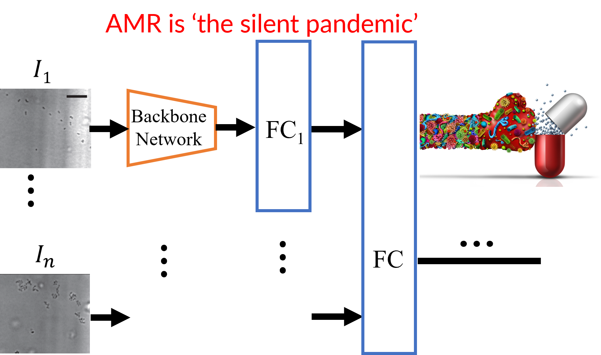 AtiqAhad Vision Lab.